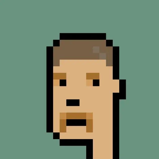 ChiaPhunks - Collection | MintGarden