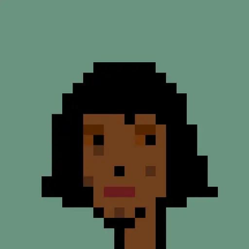 ChiaPhunks - Collection | MintGarden